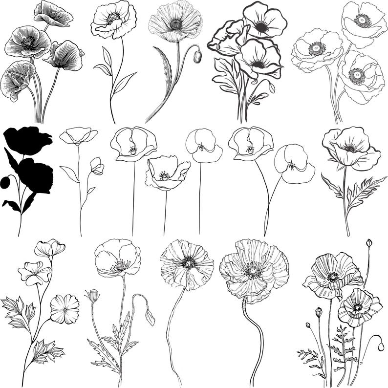 Poppy Svg Bundle, Poppy Flower Cut Files for Cricut, Wildflower Svg ...