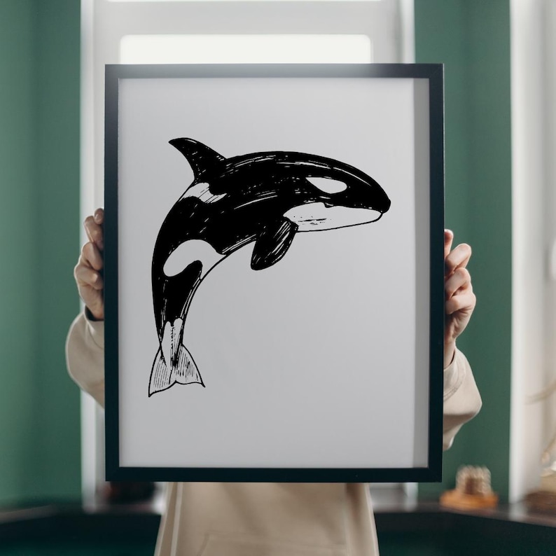 Orca Whale Silhouette Clipart, Ocean Animal Cut Files (SVG, PNG, PDF ...