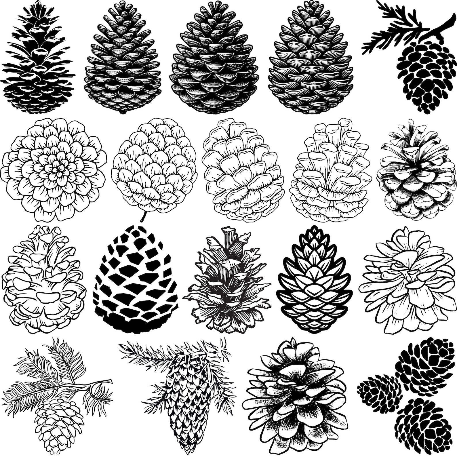 Pinecone Svg Bundle, Conifer Cone Decal, Autumn Plant Cut Files, Cone ...