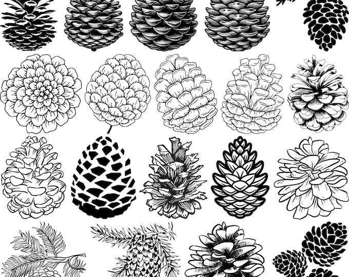 Cone Svg Bundle,pinecone Svg, Pine Tree Clipart , Pine Tree Vector ...