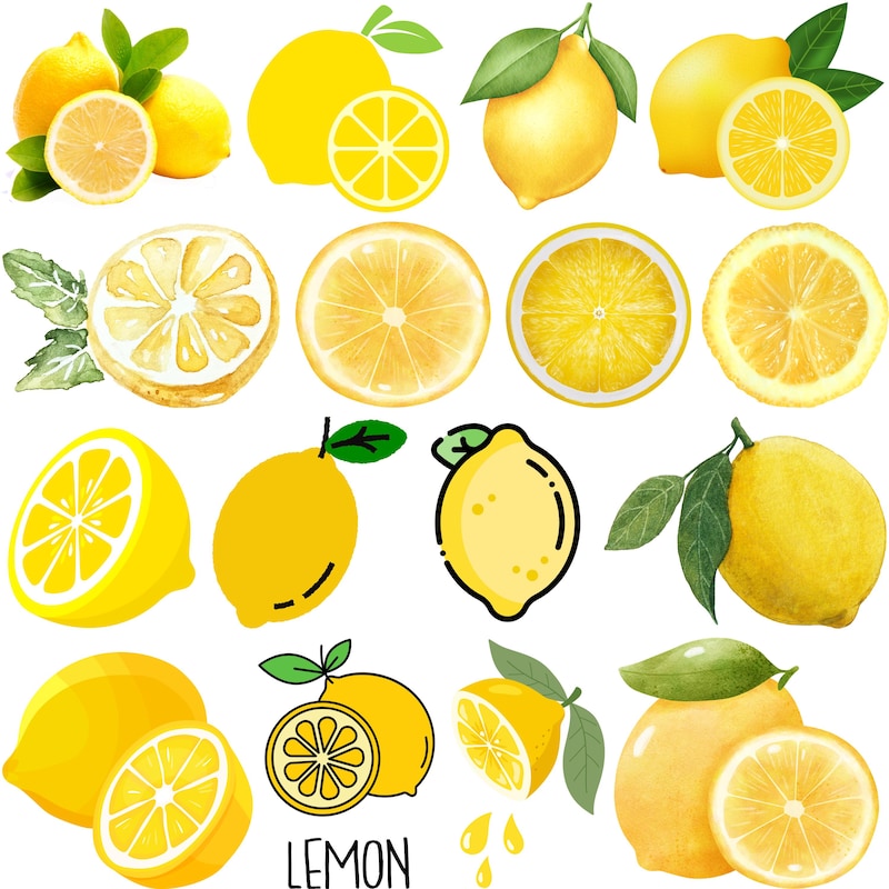 Lemon Signs - Etsy