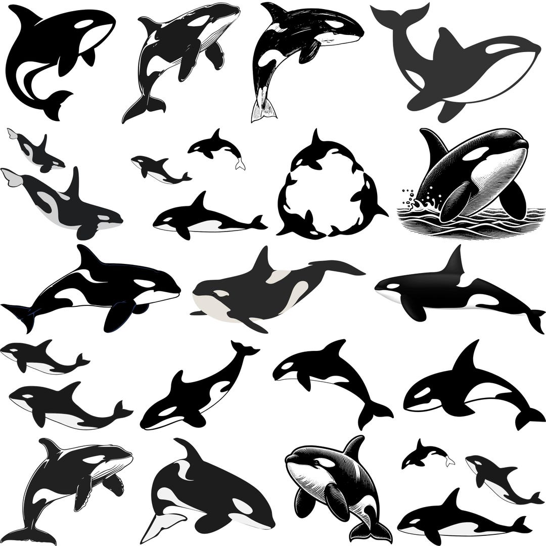 Orca Whale Svg Bundle, Orca Whale Silhouette, Orca Whale Clipart, Orca ...