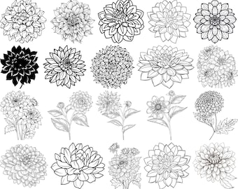 Dahlia Flower SVG: Cut File for Cricut, Silhouette, Digital Download ...