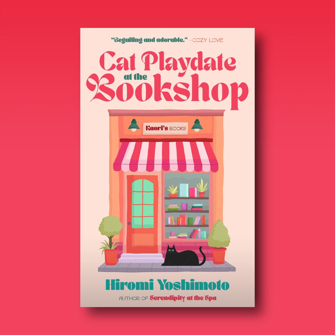 Premade Book Cover - Cat Playdate at the Bookshop - Etsy
