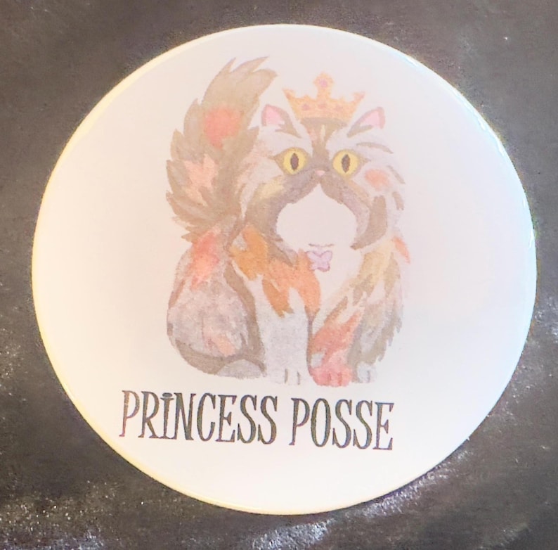 Princess Posse - Dungeon Crawler Buttons 2.25" Size - Etsy
