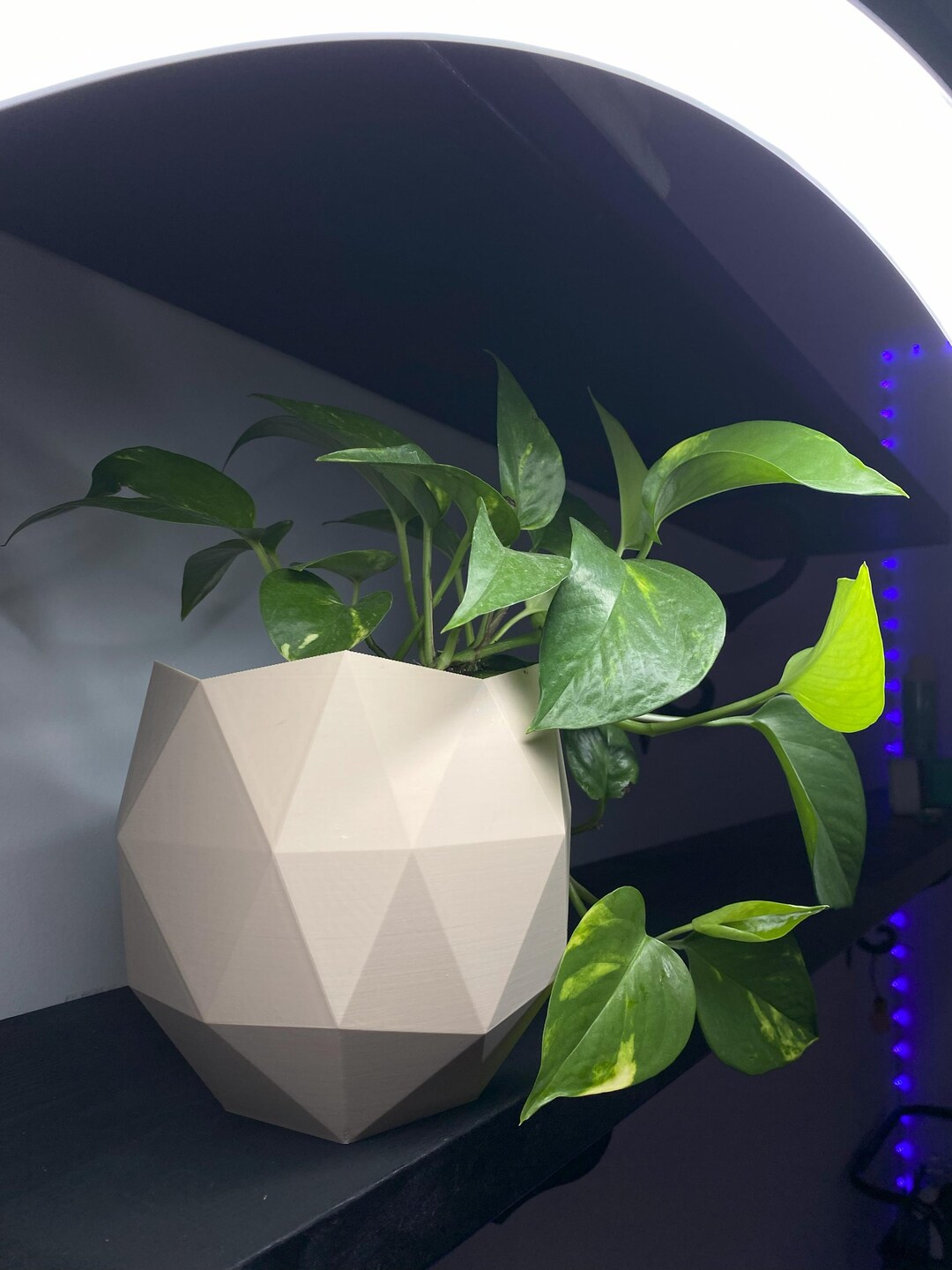 Extra Large Low Poly Pot, for All Types of Plants, Various Colors - Etsy