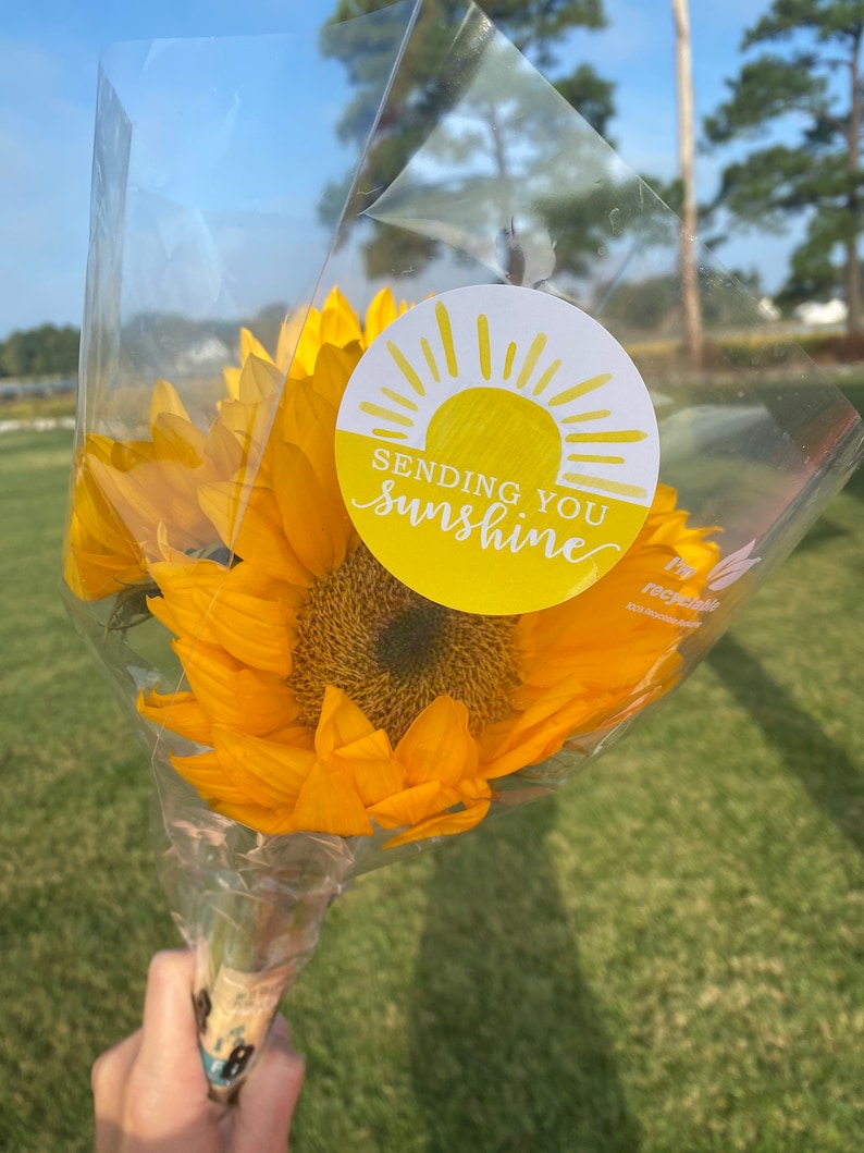 Sunshine Sticker- 12 to Page - Etsy