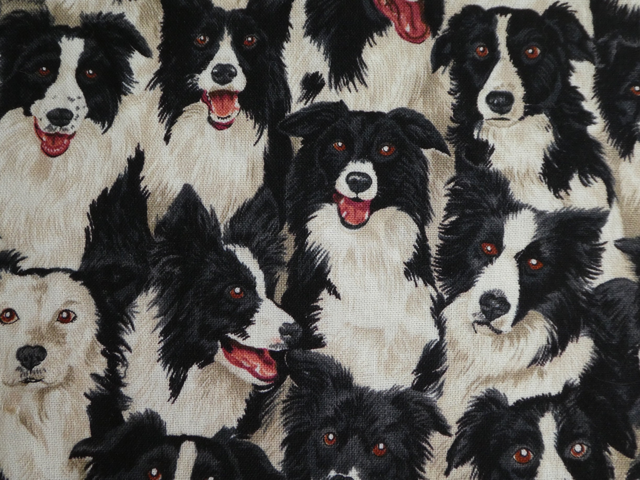1 x Luxury Cotton Border Collie Design Face Mask Double Layer, wired ...