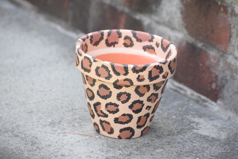 Hand Painted Terracotta Pot, Colorful Leopard Print Pot, Pale Pink and ...