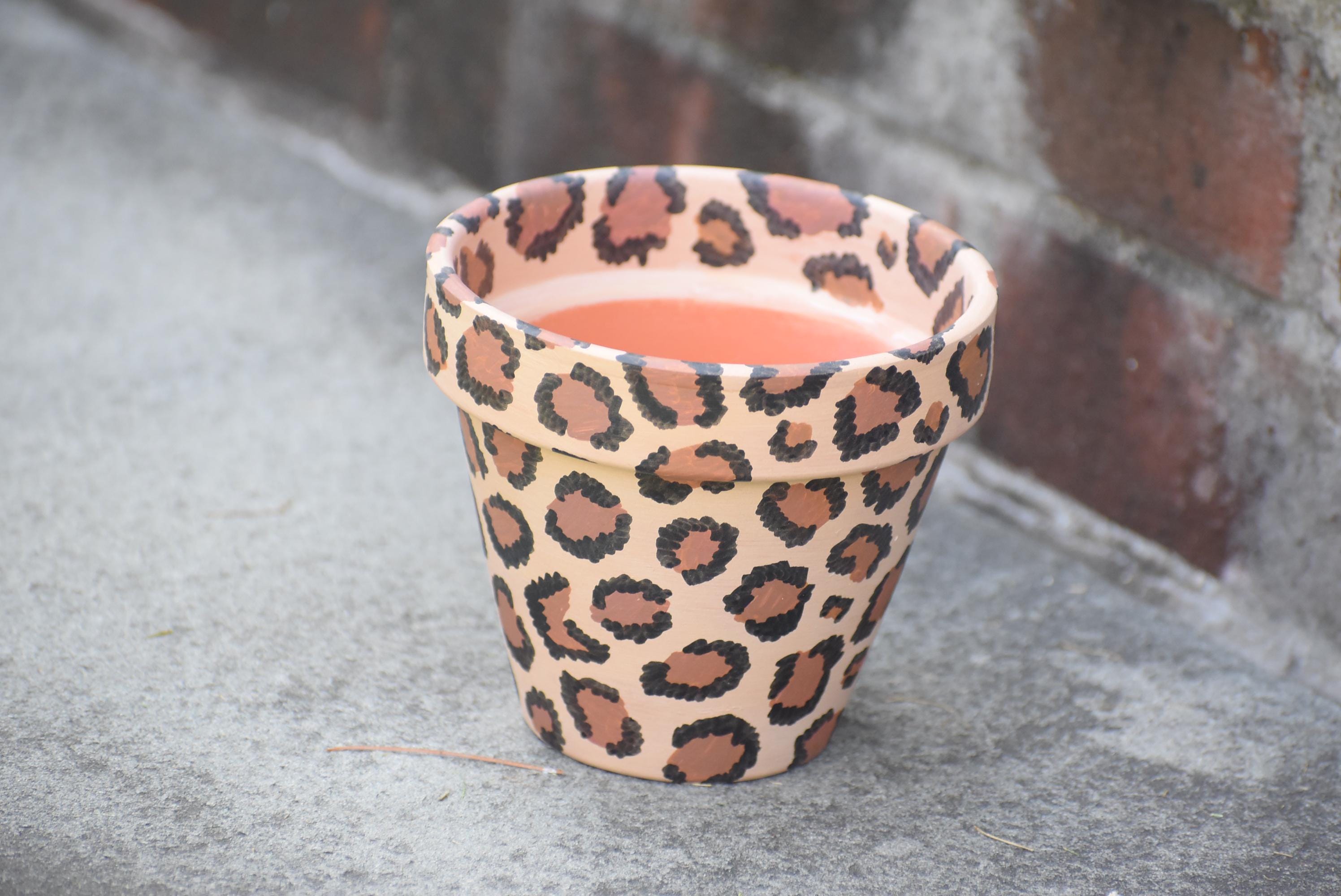 Hand Painted Terracotta Pot, Colorful Leopard Print Pot, Pale Pink and ...