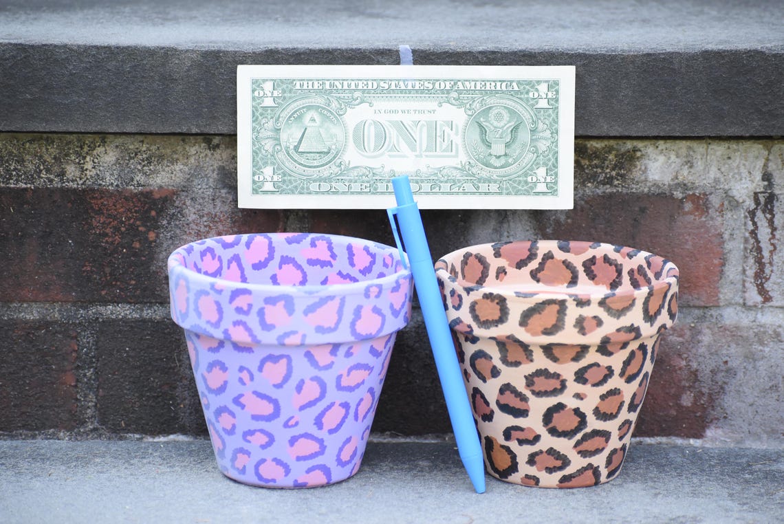 Hand Painted Terracotta Pot, Colorful Leopard Print Pot, Pale Pink and ...
