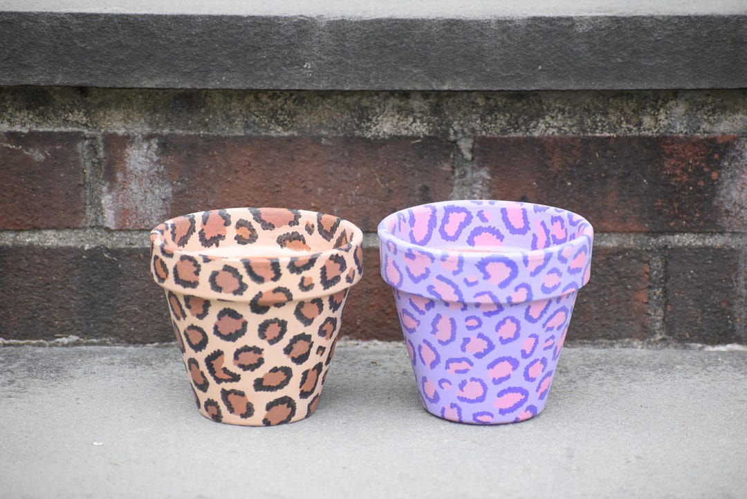 Hand Painted Terracotta Pot, Colorful Leopard Print Pot, Pale Pink and ...
