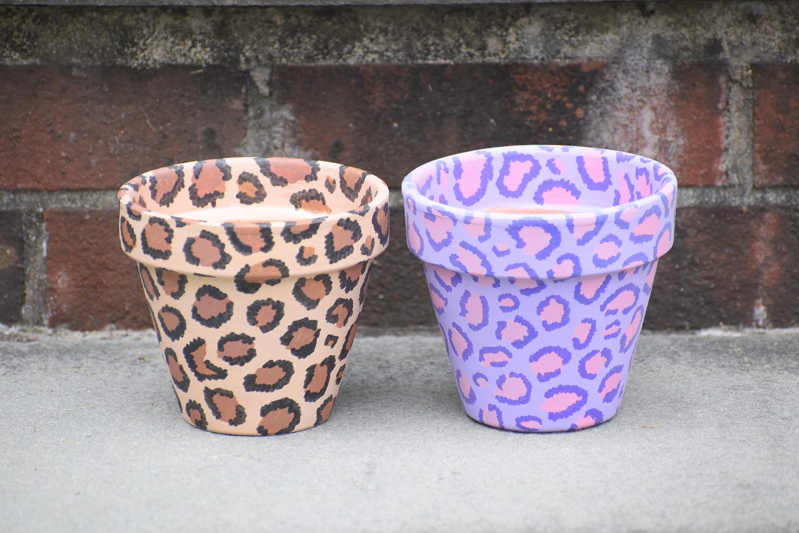 Hand Painted Terracotta Pot, Colorful Leopard Print Pot, Pale Pink and ...
