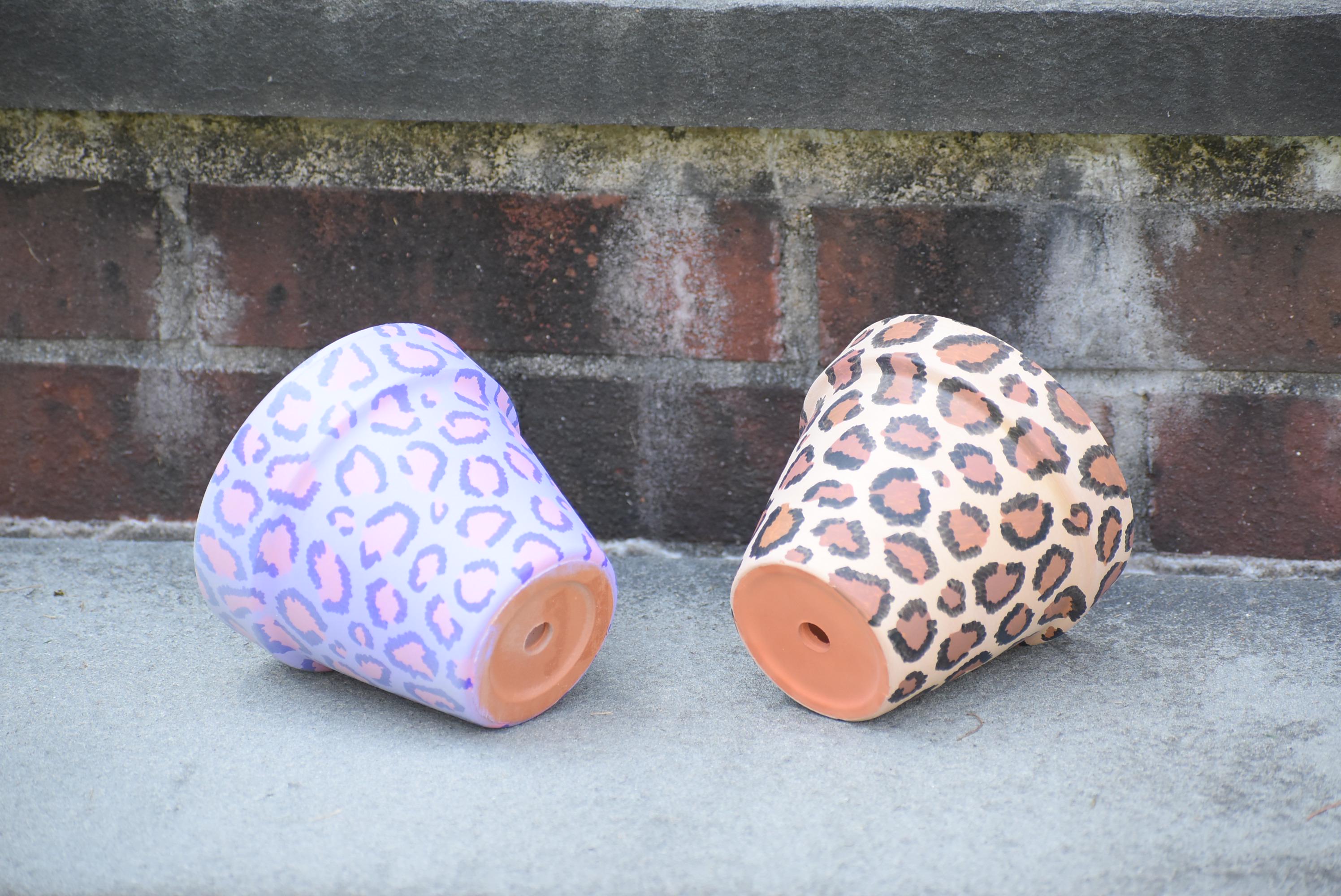Hand Painted Terracotta Pot, Colorful Leopard Print Pot, Pale Pink and ...