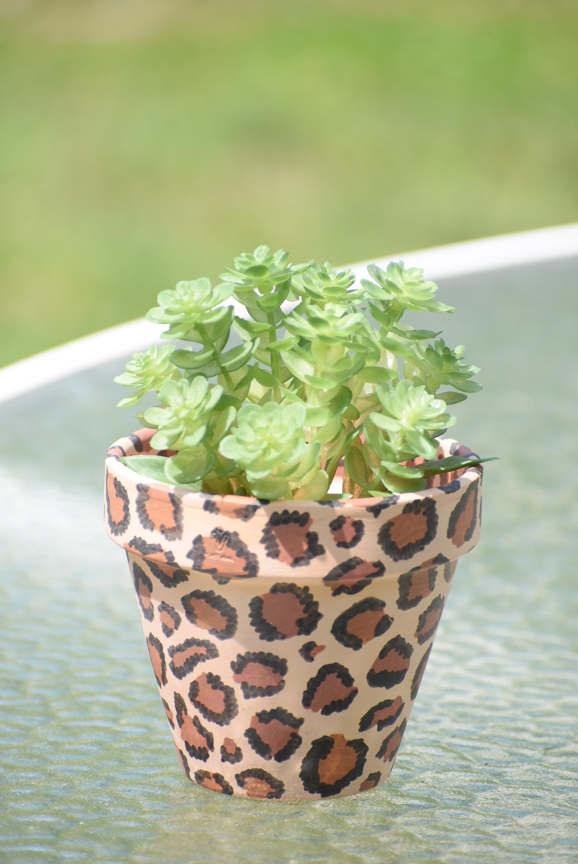 Hand Painted Terracotta Pot, Colorful Leopard Print Pot, Pale Pink and ...