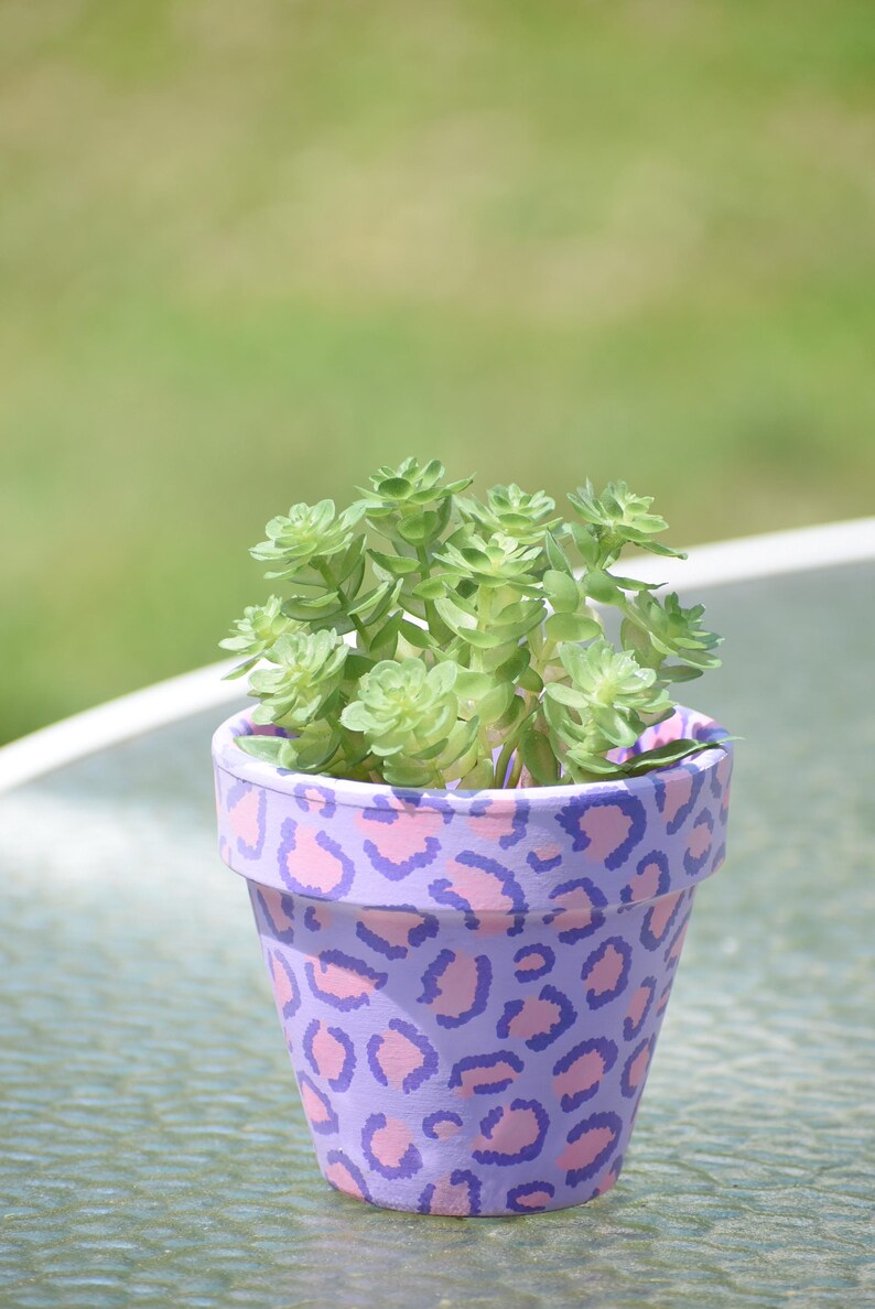 Hand Painted Terracotta Pot, Colorful Leopard Print Pot, Pale Pink and ...