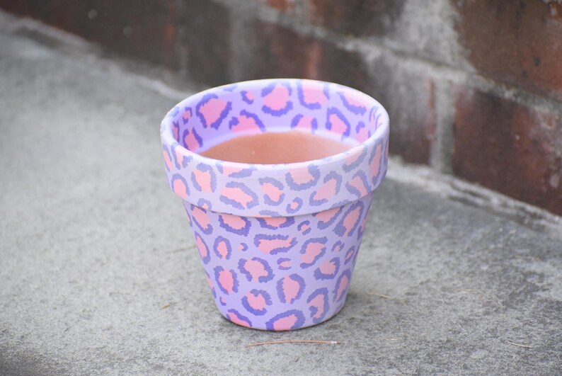 Hand Painted Terracotta Pot, Colorful Leopard Print Pot, Pale Pink and ...