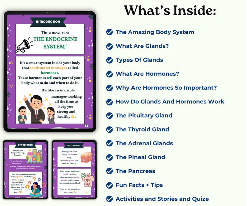 Endocrine System Workbook | Anatomy & Science Activities | Human Body ...