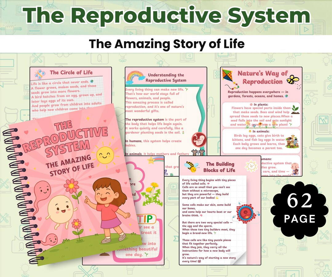 Reproductive System Workbook | Human Body Anatomy & Activities ...
