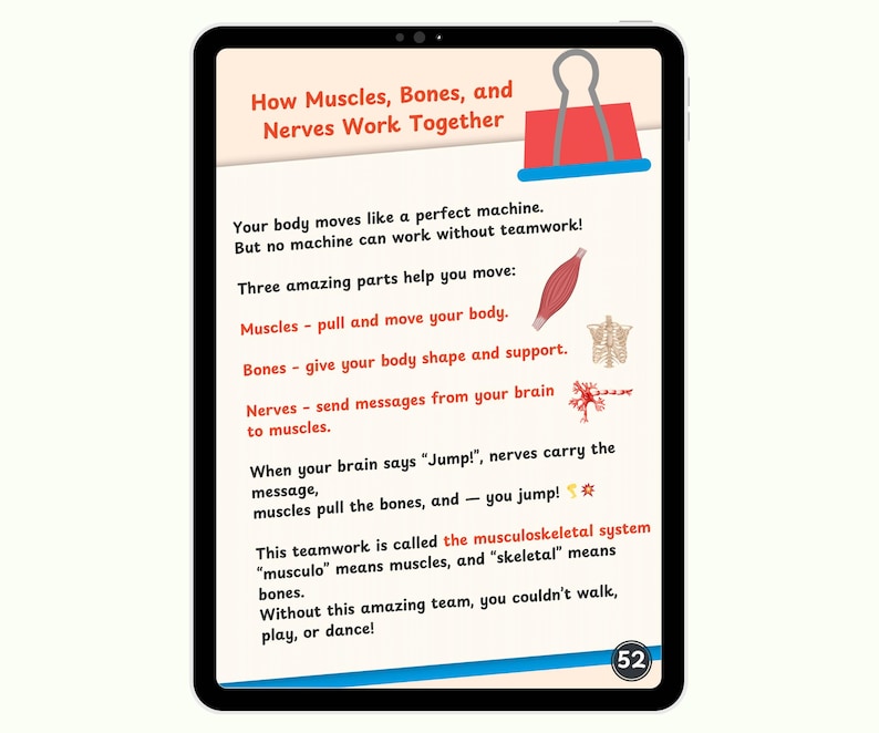 Muscular System for Kids | Human Body Science Workbook | Muscles ...