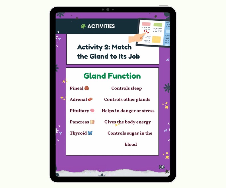 Endocrine System Workbook | Anatomy & Science Activities | Human Body ...