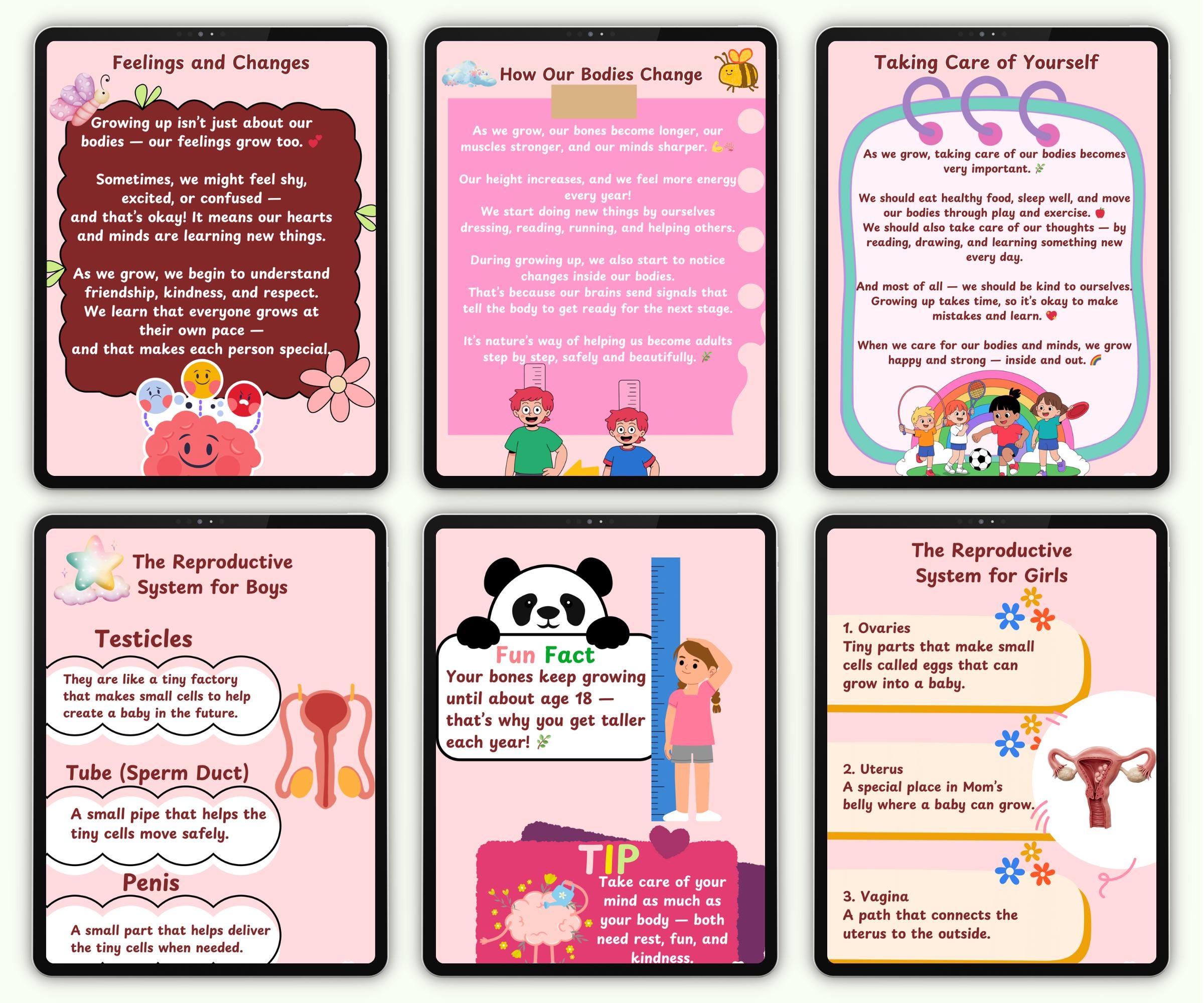 Reproductive System Workbook | Human Body Anatomy & Activities ...