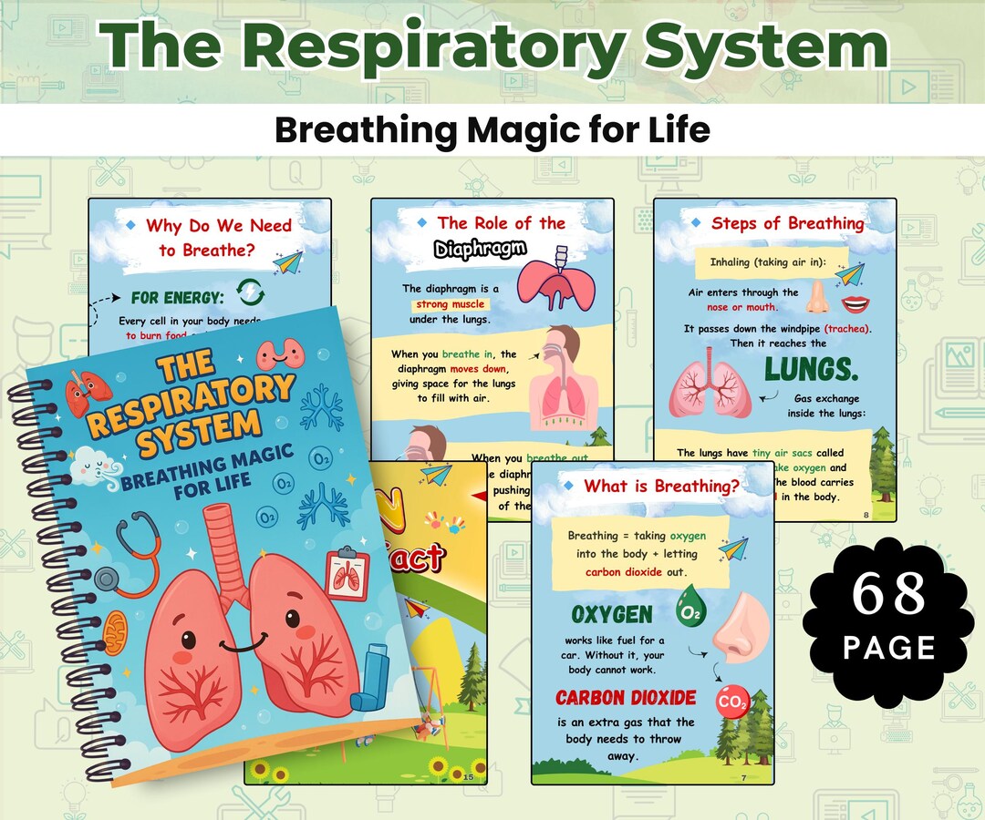 Respiratory System for Kids | Human Body Science Workbook | Breathing ...