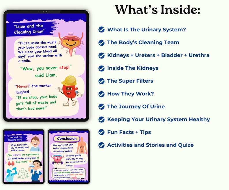 Urinary System Workbook | Kidney & Anatomy Activities | Human Body ...