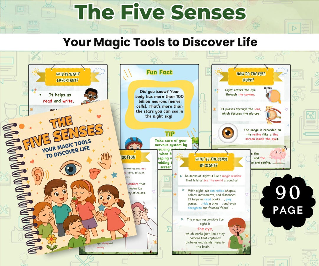 Five Senses Workbook | Science Activities for Kids | Human Body ...