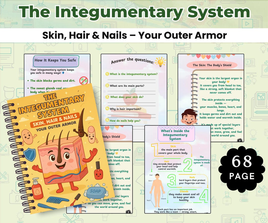 Integumentary System Workbook | Skin & Anatomy Activities | Human Body ...
