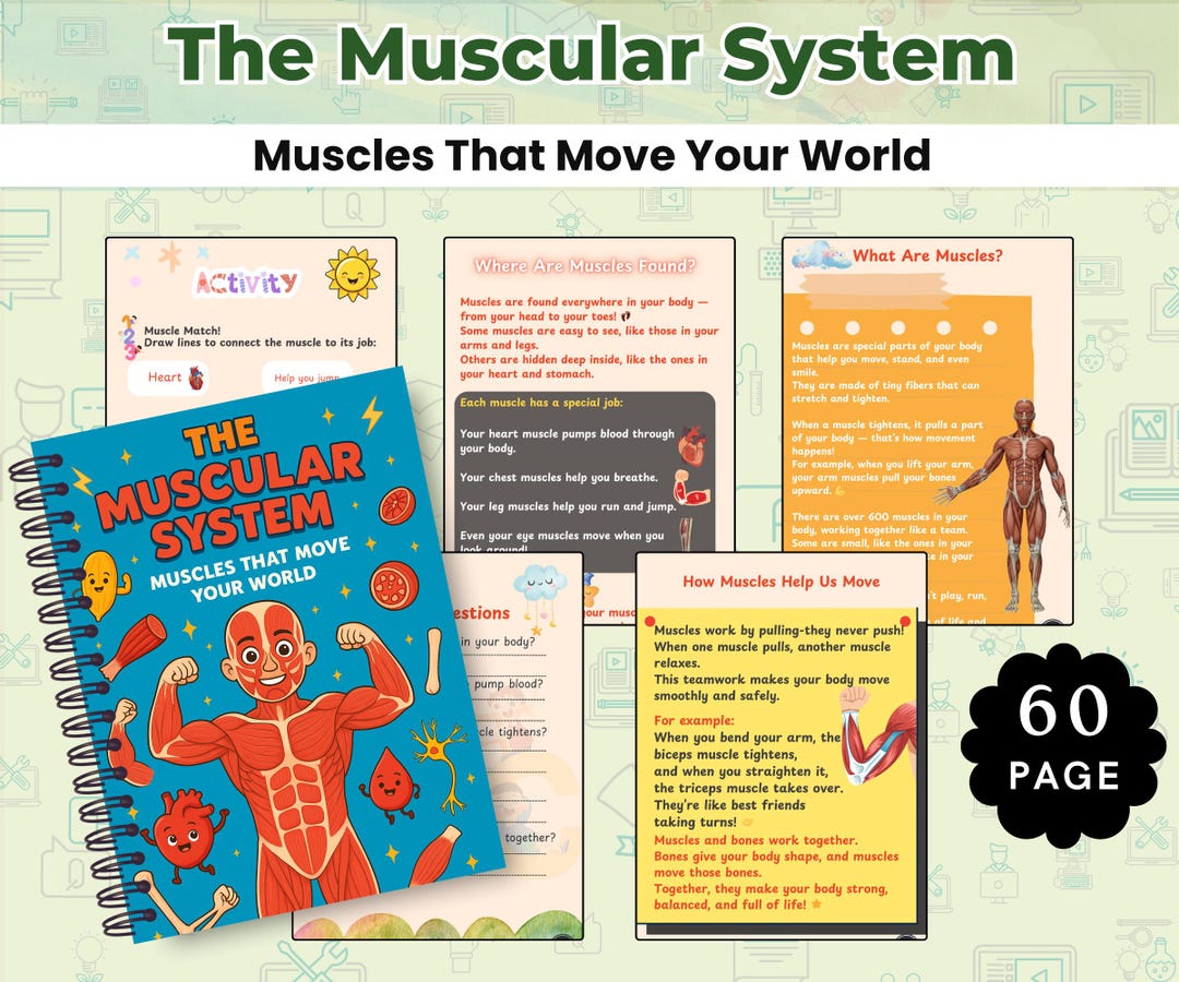 Muscular System for Kids | Human Body Science Workbook | Muscles ...