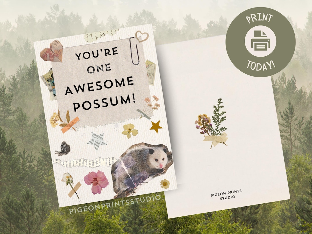 Awesome Possum Card, Fun Unique Card for Birthdays and Events, Cute ...