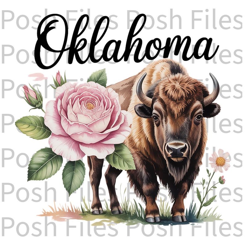 Oklahoma Rose & Bison PNG, State Pride Design (digital Download) - Etsy