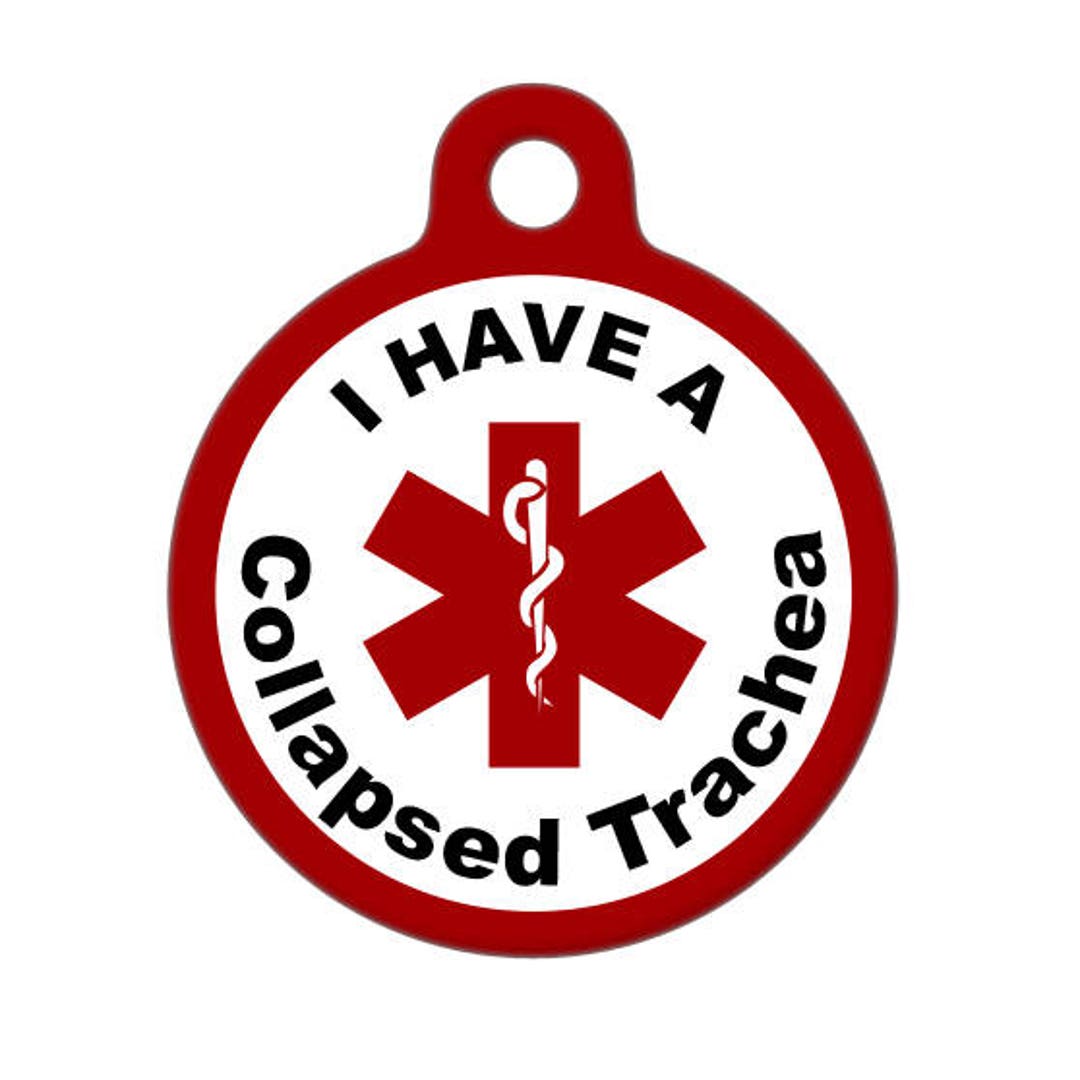 Medical ID Tag I Have a Collapsed Trachea Medical Alert - Etsy
