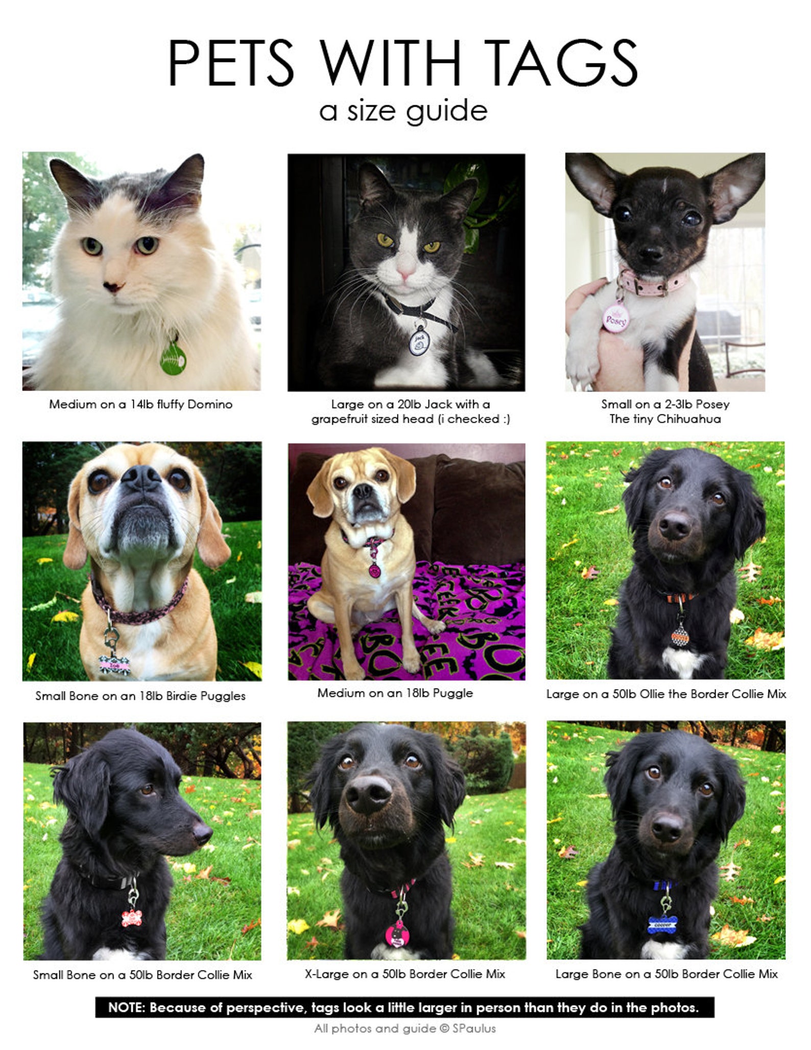 Pet ID Tag the Haunted Cat Photo - Etsy
