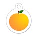 Pet ID Tag Peach - Etsy