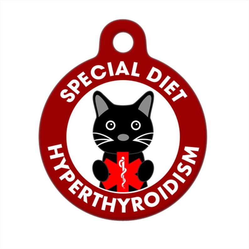 Pet ID Tag - I Have Hyperthyroidism Black Cat - Etsy