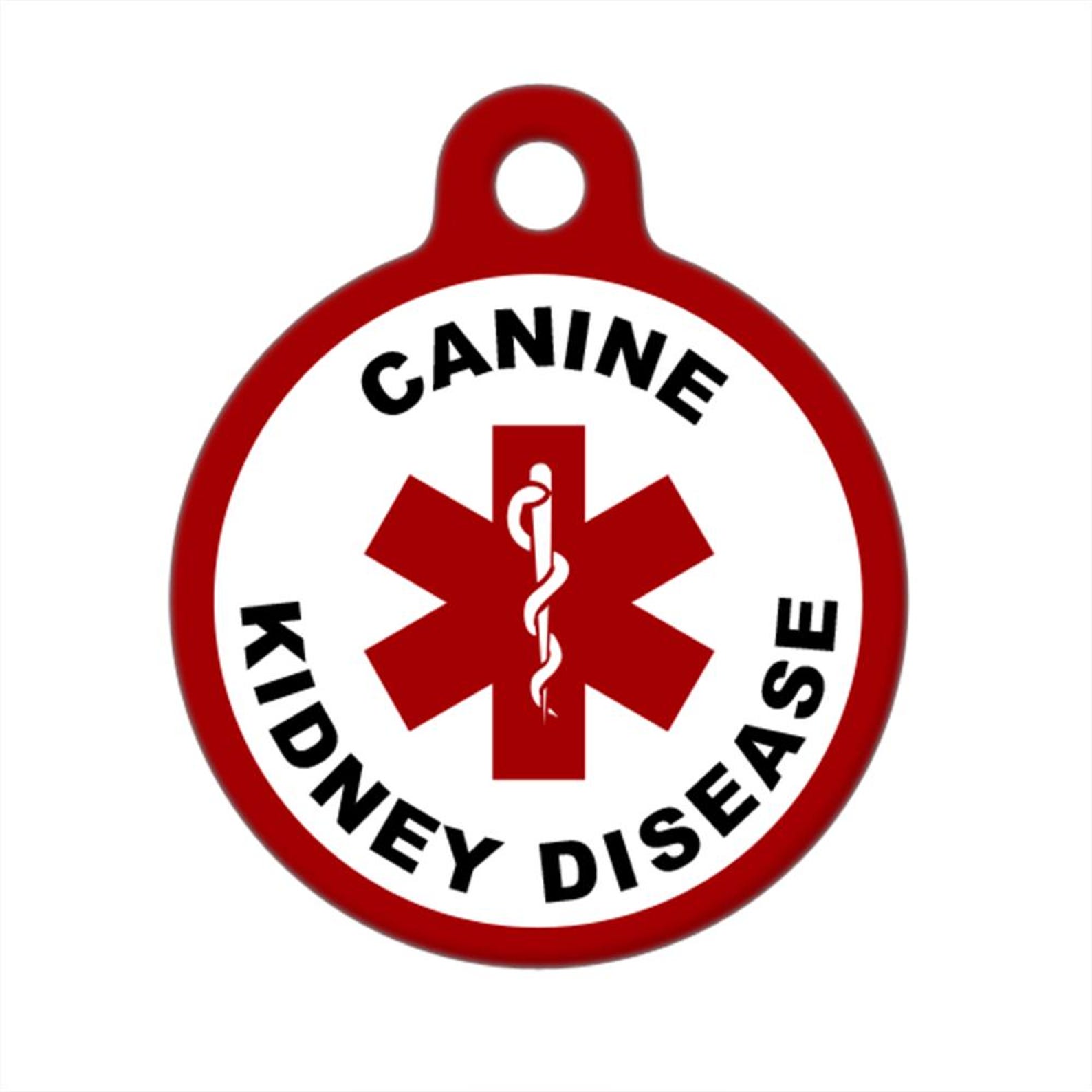 Medical ID Tag - Canine Kidney Disease Medical Alert - Etsy