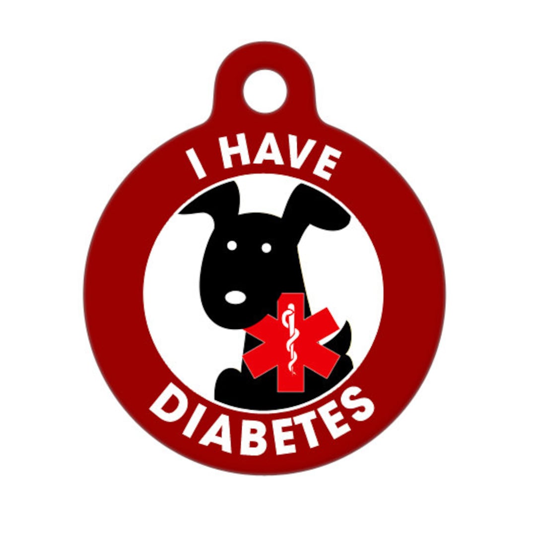 Medical ID Tag I Have Diabetes Dog Medical Alert - Etsy