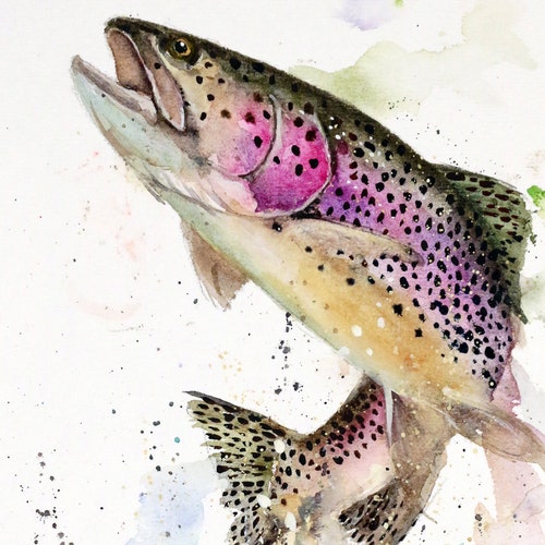 TROUT Watercolor Fish Print by Dean Crouser - Etsy