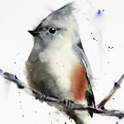 ROBIN Watercolor Bird Print by Dean Crouser - Etsy