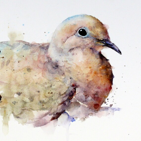 Mourning Dove Art Fluffy Mourning Dove Art Print By Al Mueller