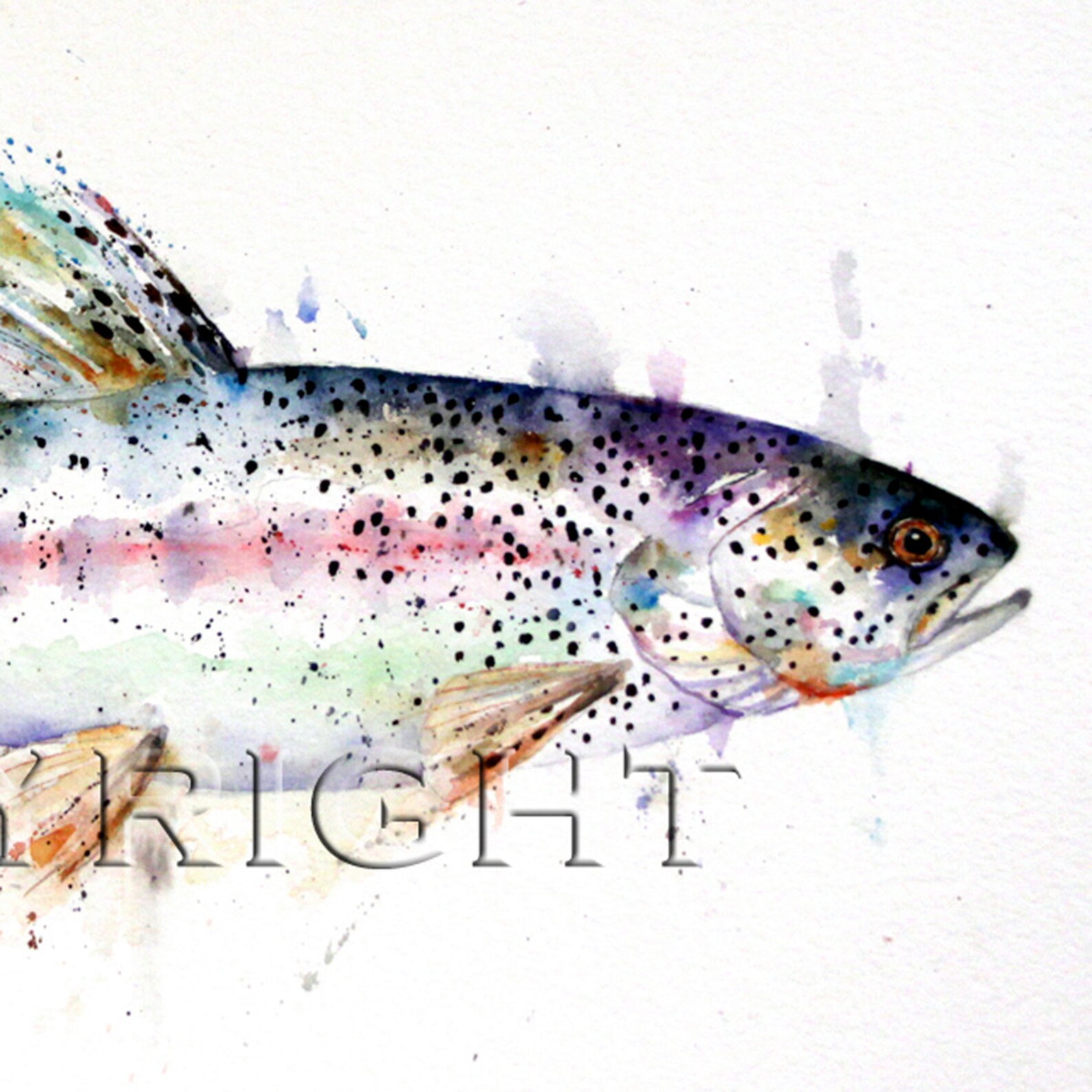 TROUT Watercolor Fish Print by Dean Crouser - Etsy