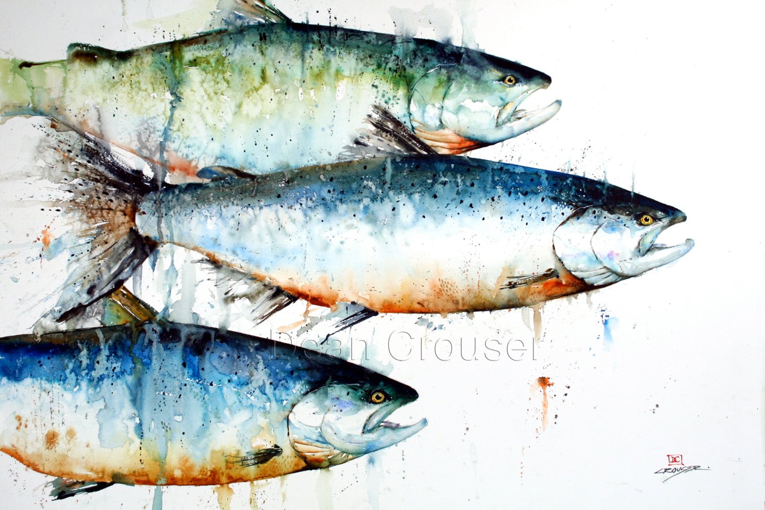 Salmon Watercolor Art Print: Colorful Fish Painting by Dean Crouser - Etsy
