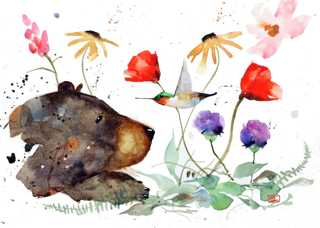 BEAR & HUMMINGBIRD Set of 8 Kindness and Friendship Greeting Cards ...