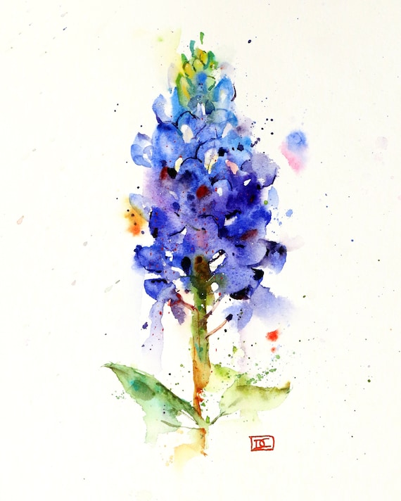 Bluebonnet Watercolor