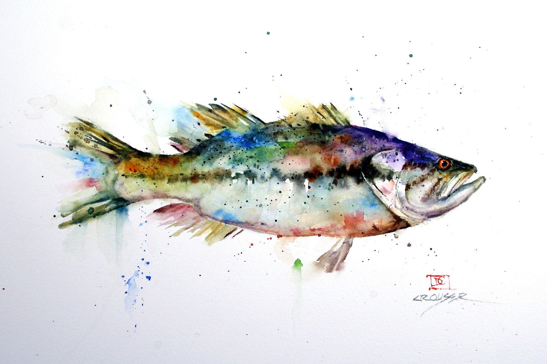 Largemouth Bass Drawing Color