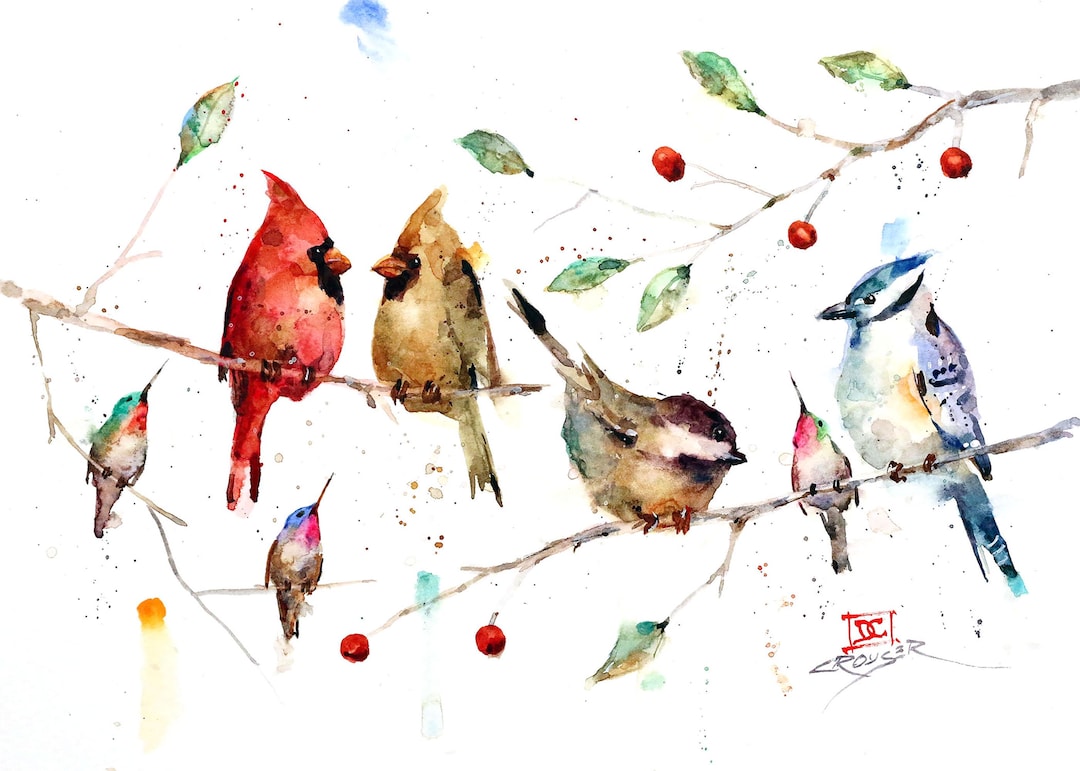 COLORFUL BIRDS, Set of 8 Friendship Greeting Cards, Watercolor Nature ...