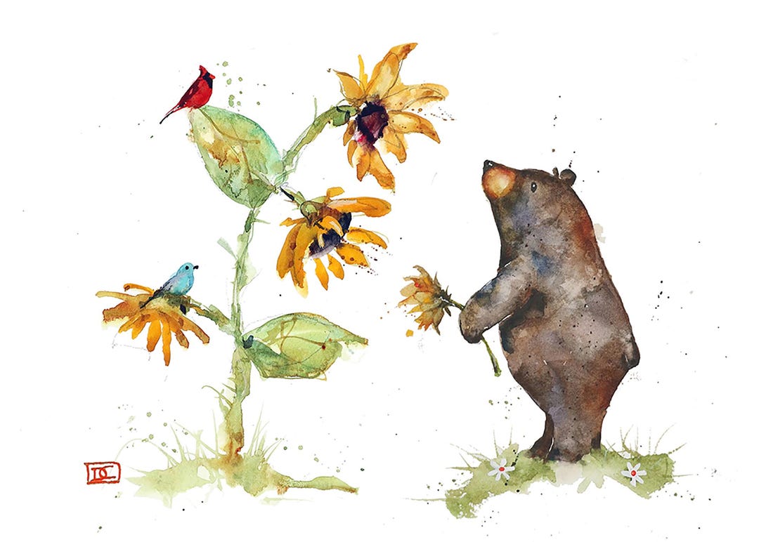 BEAR & BIRD Set of 8 Kindness and Friendship Greeting Cards, Watercolor ...