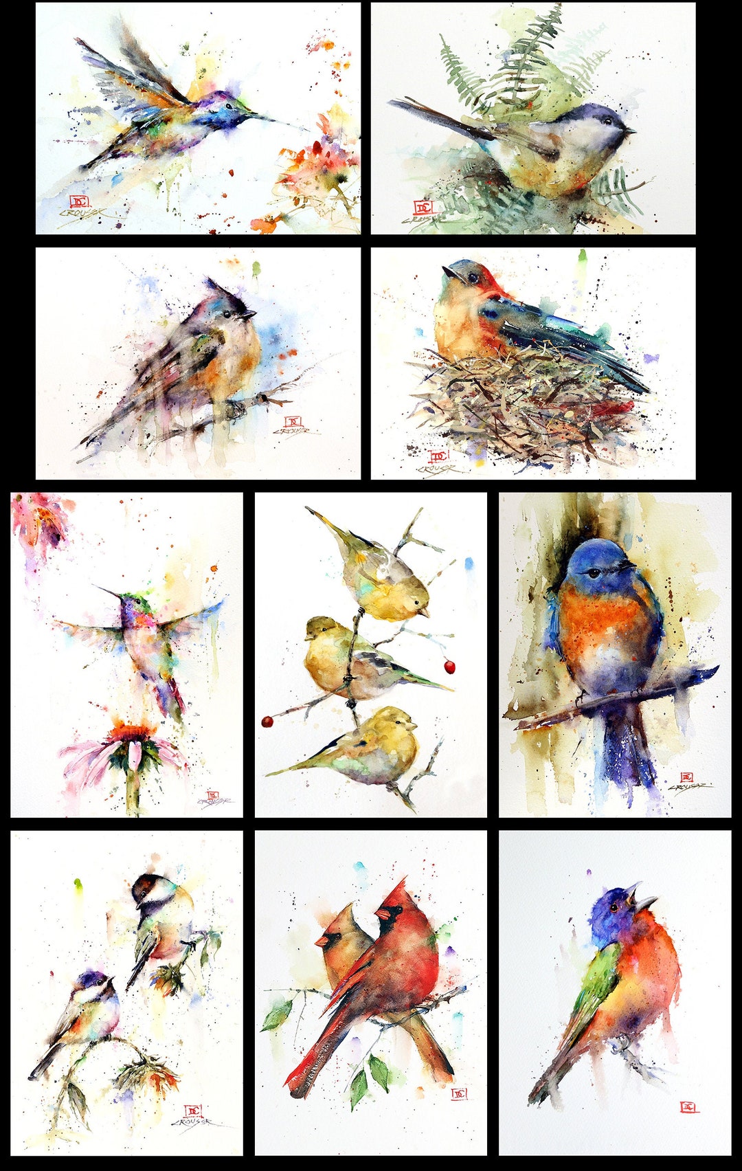 Dean Crouser Watercolor Bird Greeting Cards: Songbird & Hummingbird ...